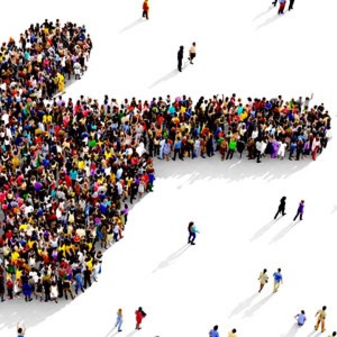 Stratégie de Communication et d'Influence - Birdency